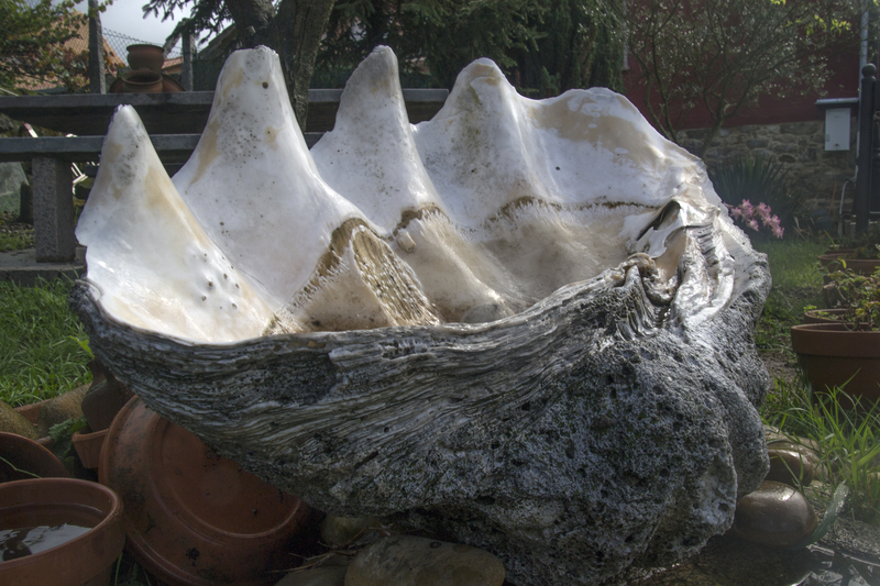 Climbing Out of the Shell - God Cherishes You