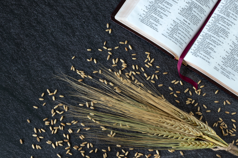 Who is the Woman of Virtue? - God Cherishes You